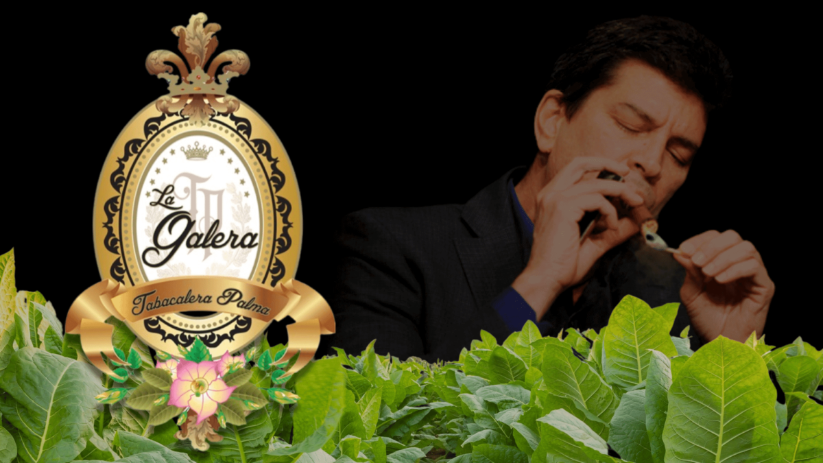 La Galera And The Tobacco Ingenuity Of Jochy Blanco - House of Horvath