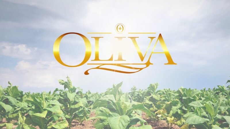 Brand Spotlight: Oliva by Oliva Cigar Co. - House of Horvath